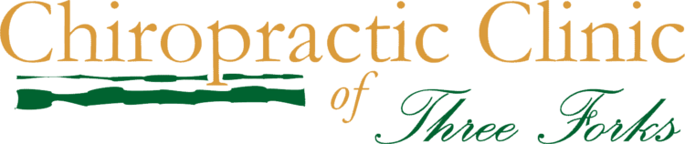 Chiropractor in Three Forks | Therapeutic Exercise in Three Forks | Dr ...